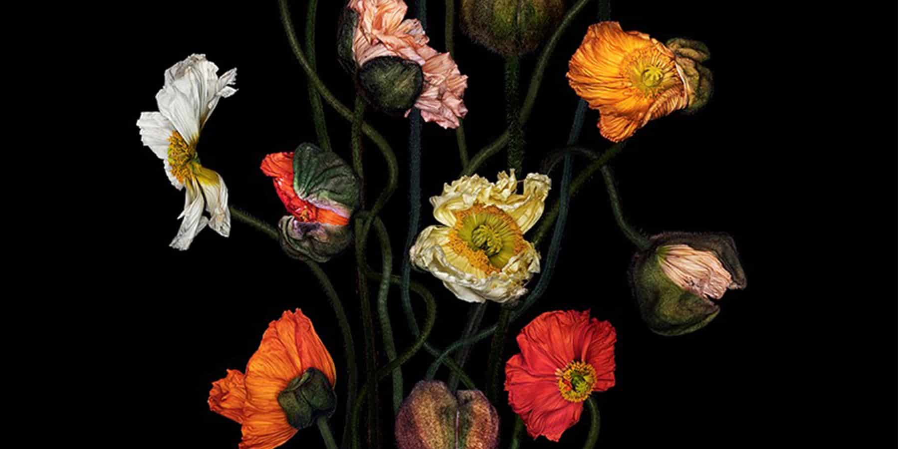 Martin Sundström - Villa Dagmar